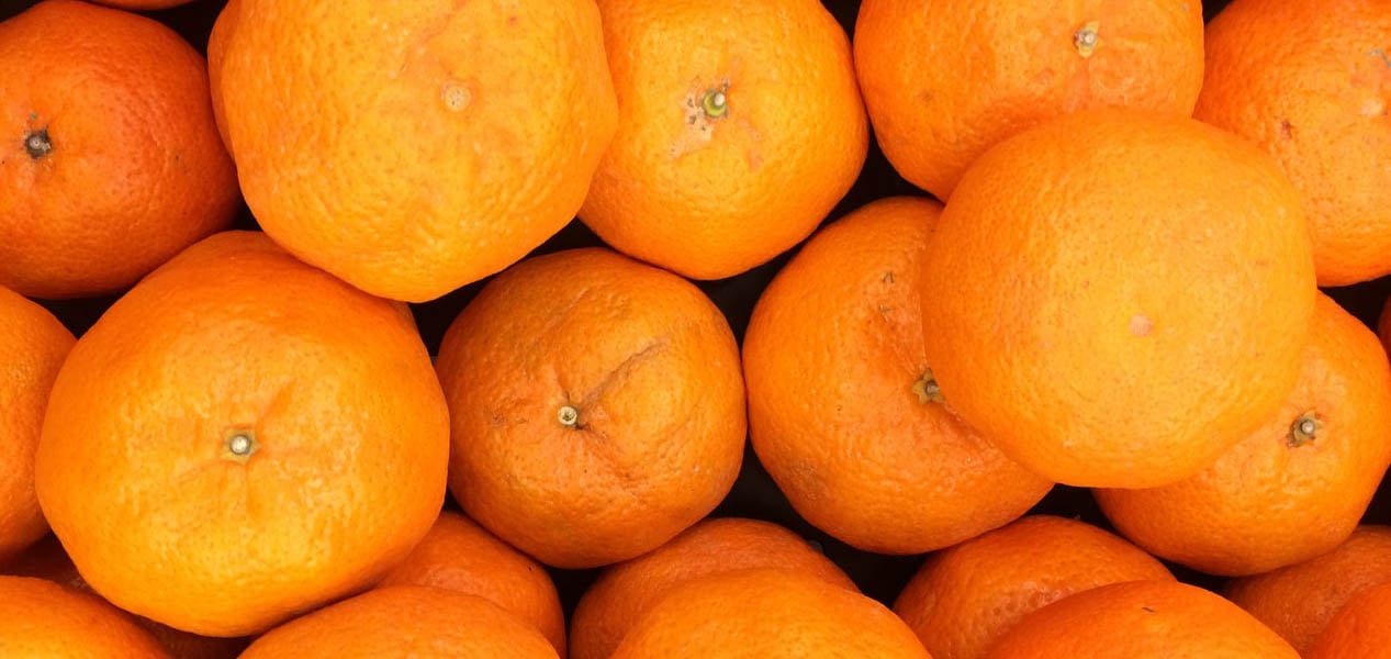 Vita Tipser | Vita.no